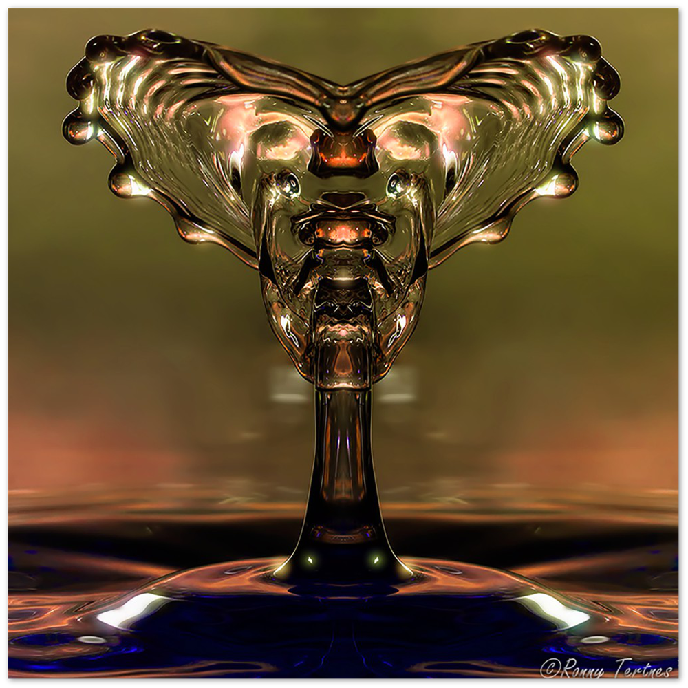 Premium Matte Paper Poster - Surprised Water – H2O Sculptures