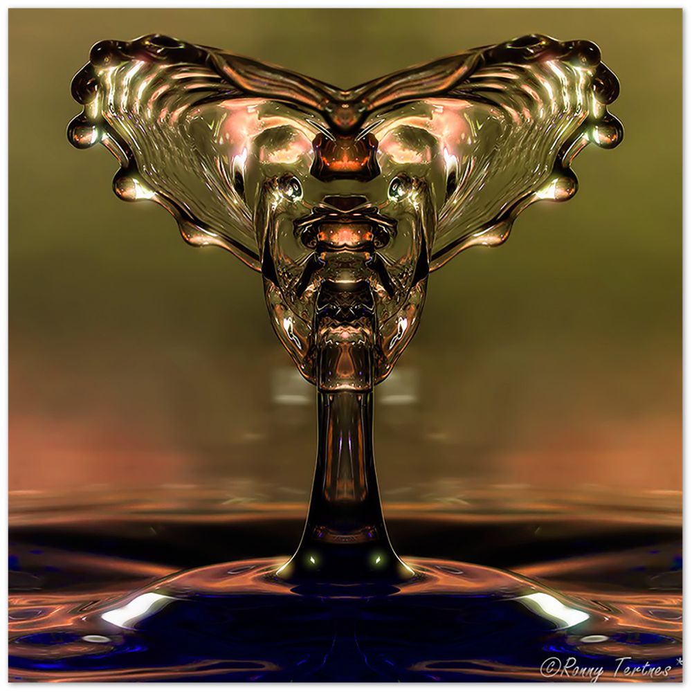 Premium Matte Paper Poster - Surprised Water – H2O Sculptures